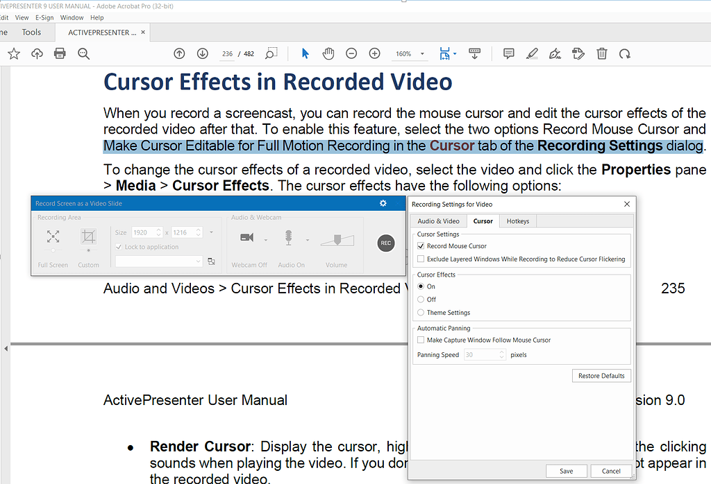 Make Cursor Editable for Full Motion Recording option appears to be ...